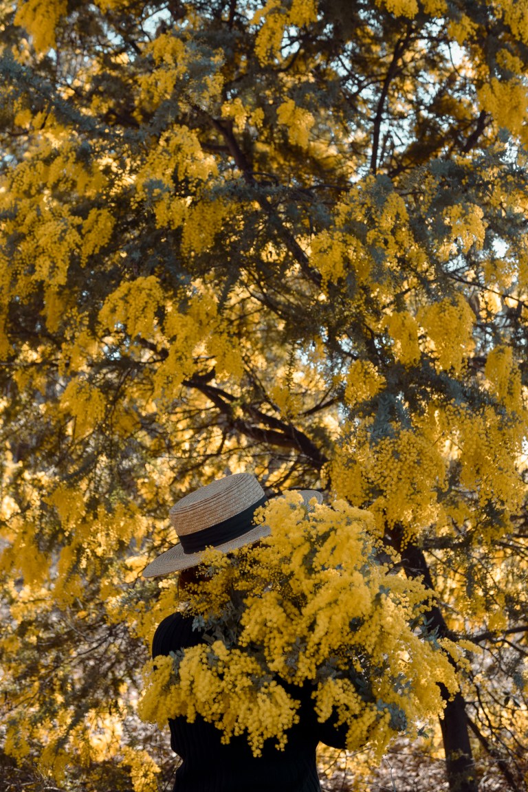 Wonderful winter wattles – Wander Mak