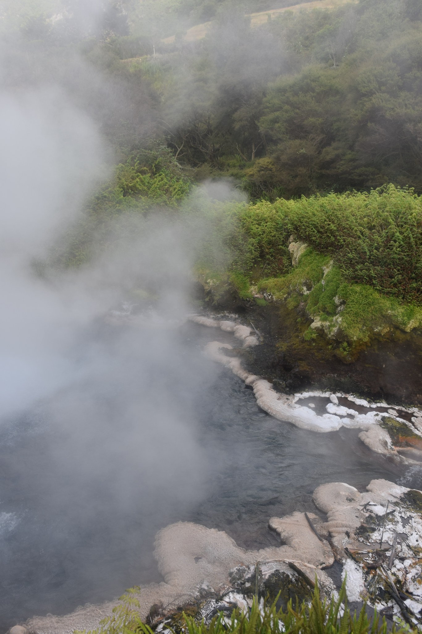 Camping at Waikite Valley hot pools, Rotorua – Wander Mak
