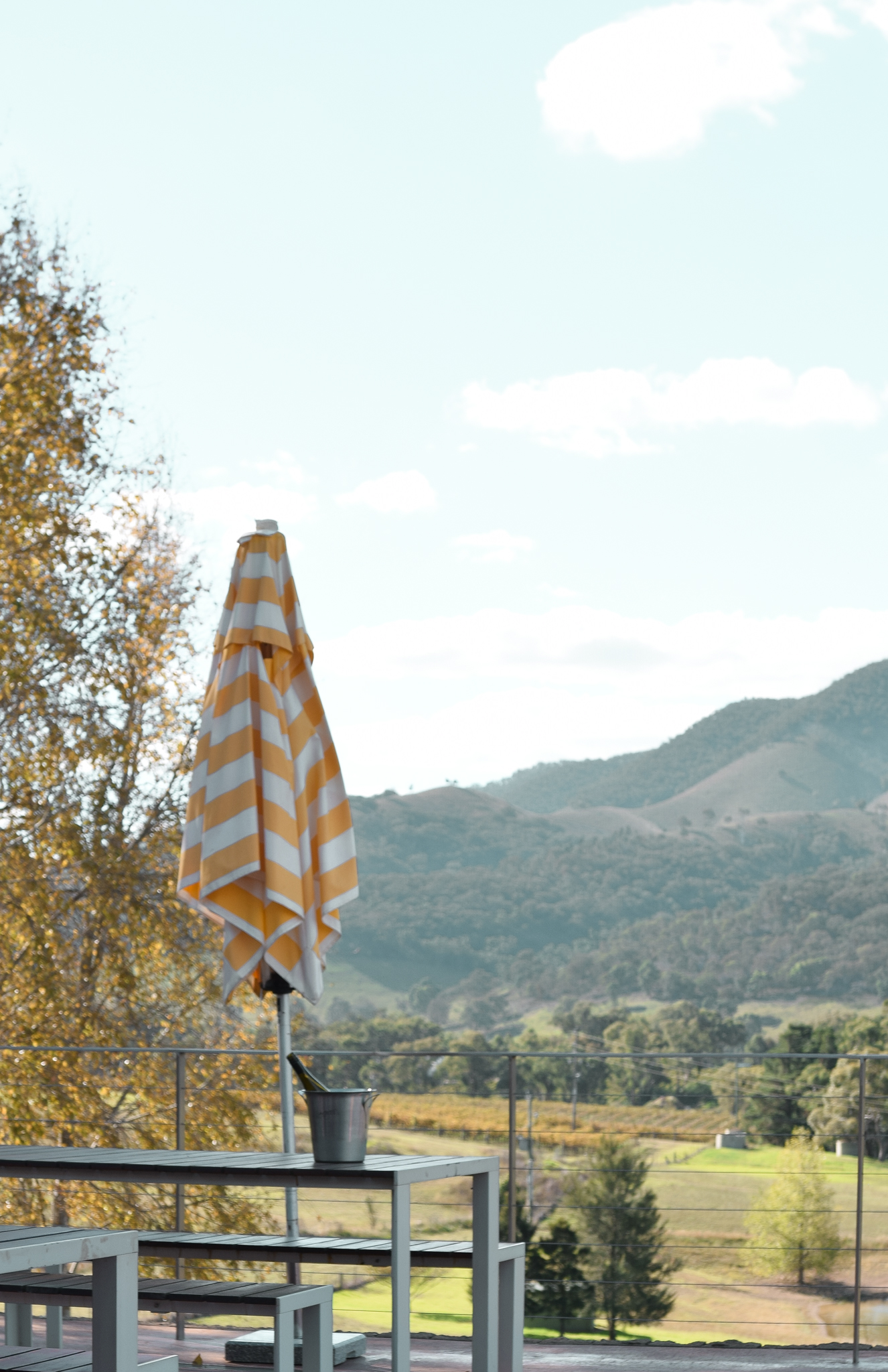 Wine tasting at Logan Wines, Mudgee – Wander Mak
