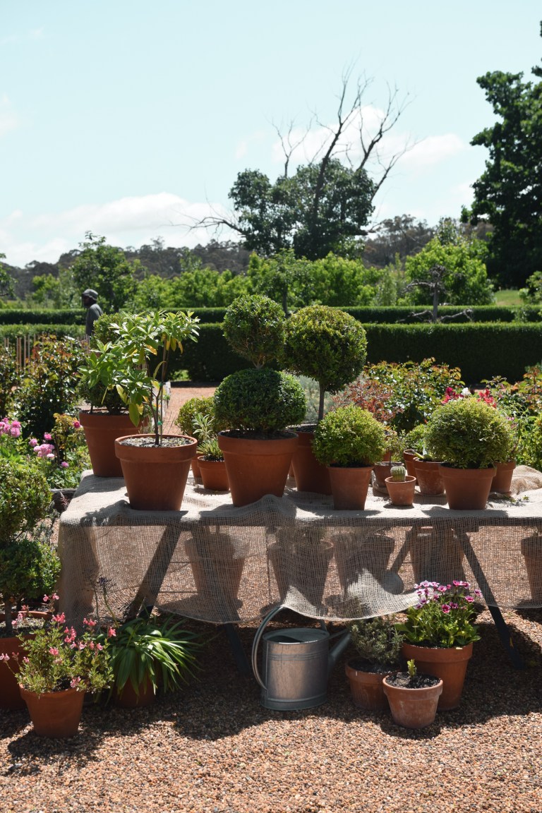 Rosedale Farm: Visiting Australia’s most instagramable property ...