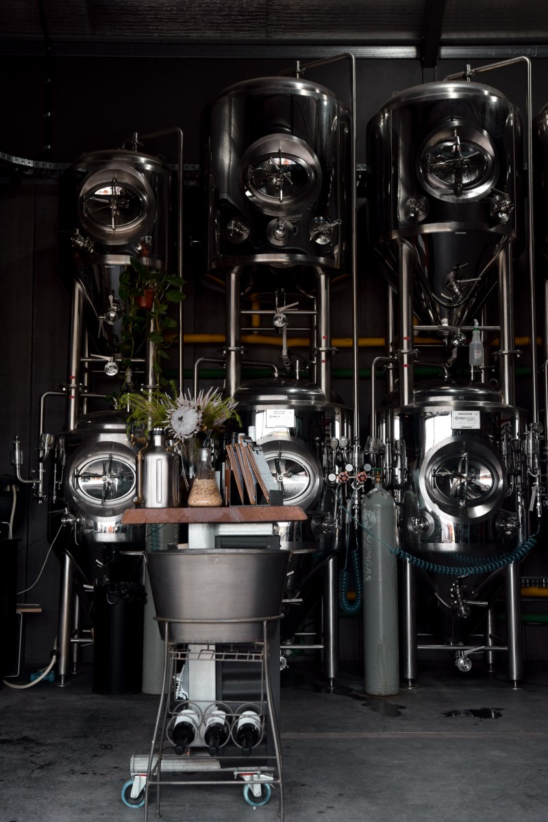 Discover Mudgee’s Small Batch Brewery & Hop farm – Wander Mak